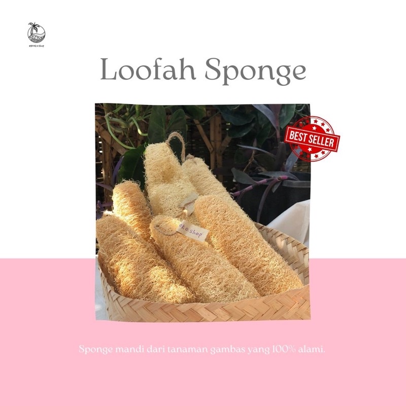 Jual Loofah Sponge Mandi | Shopee Indonesia