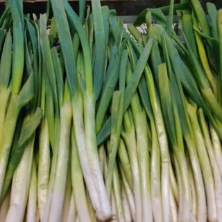 Jual bawang pre Harga Terbaik & Termurah April 2025 | Shopee Indonesia