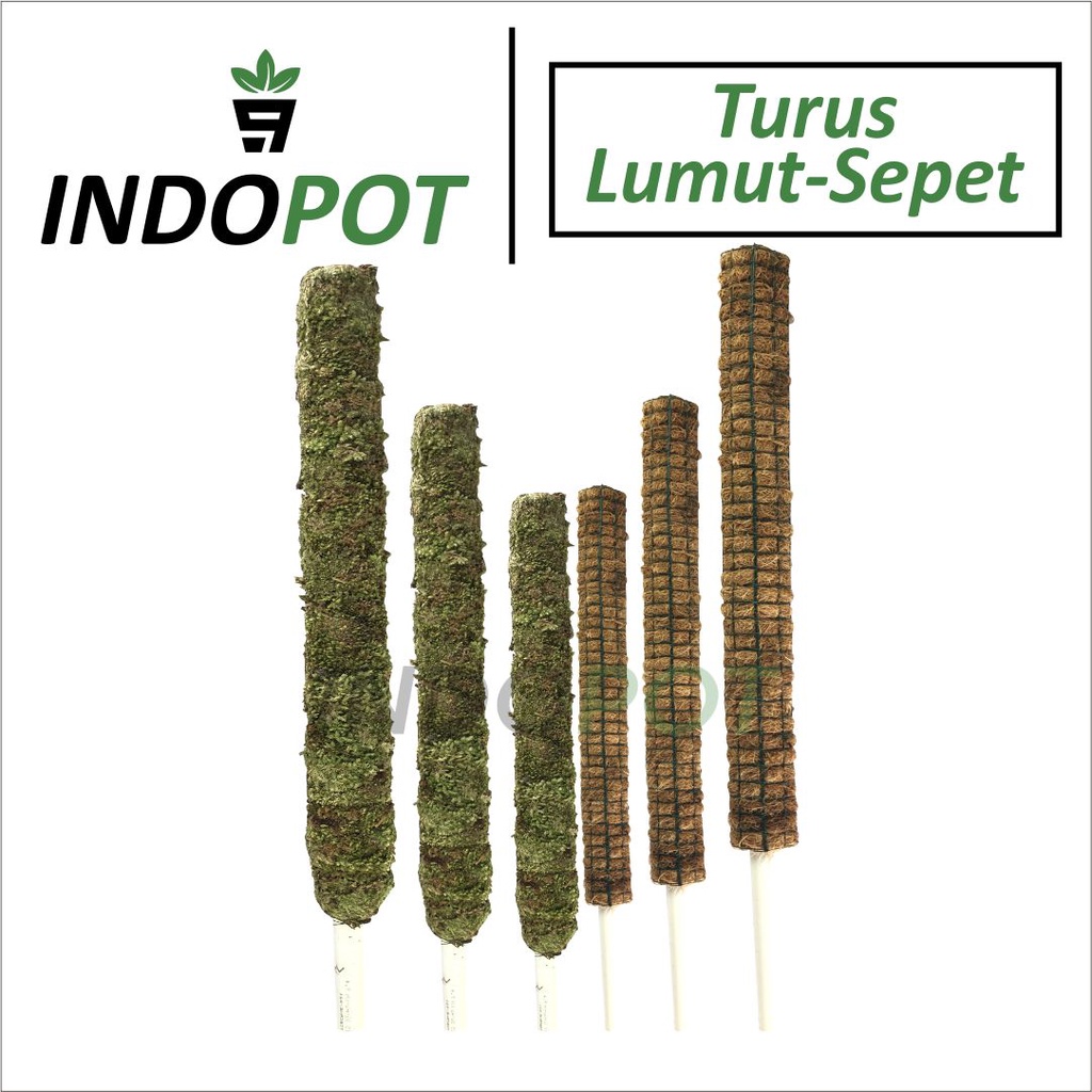 Jual Turus Penyangga Tanaman Ukuran 60 80 100 Turus Lumut Hidup dan ...