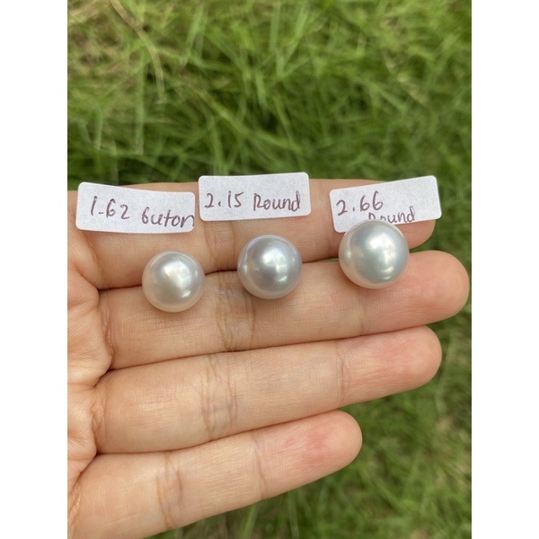 Jual Mutiara laut butiran warna Grey / white grey / mutiara laut lombok ...