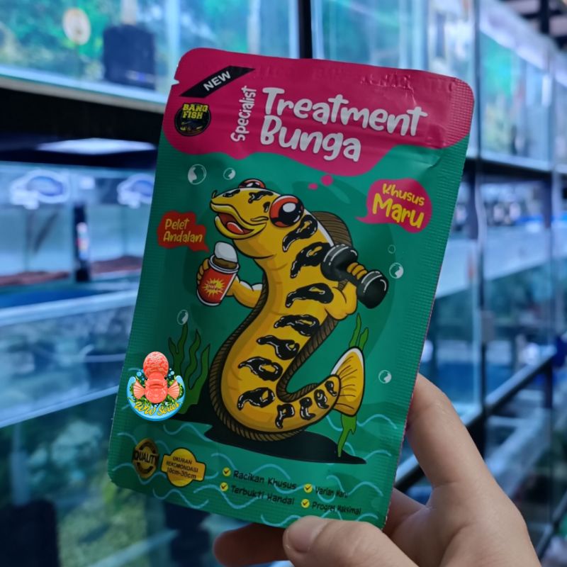 Jual PELET ANDALAN BANG FISH x FAJAR ARIEF 60gram PROGRESS BUNGA CHANNA ...