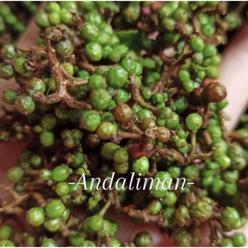 Jual Andaliman Hijau segar Bumbu khas medan berat 250gr [itir itir ...