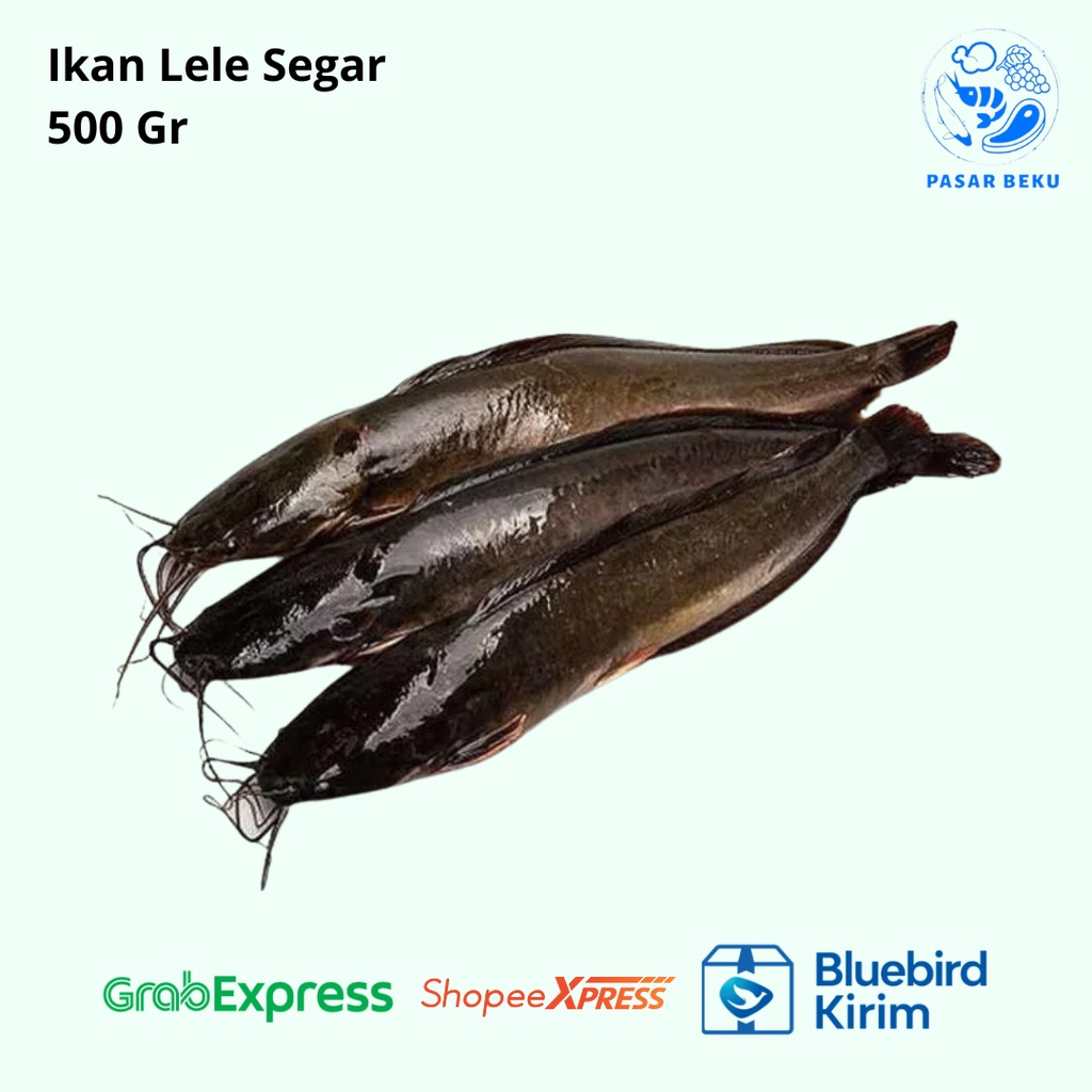 Jual Ikan Lele Segar 500gr Ikan Potong Frozen Food Pasar Beku Padang ...