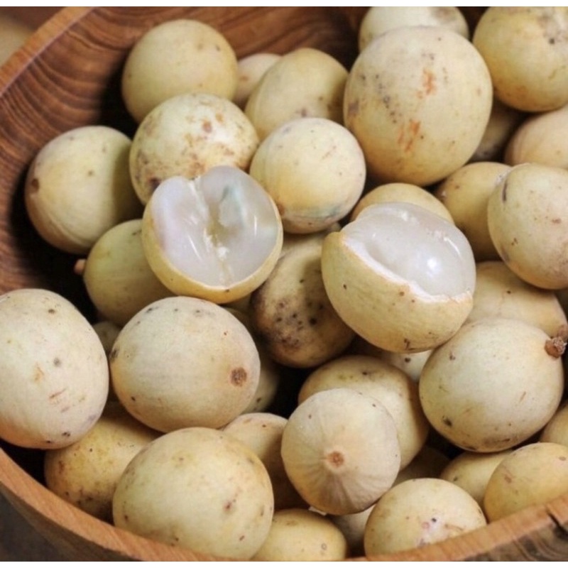 Jual Duku Palembang 1kg Murah | Shopee Indonesia