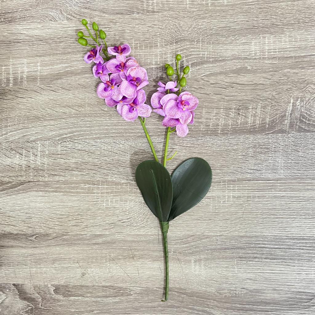 Jual Bunga Anggrek Mini Premium X2 (Satuan) Bunga Anggrek Orchid ...