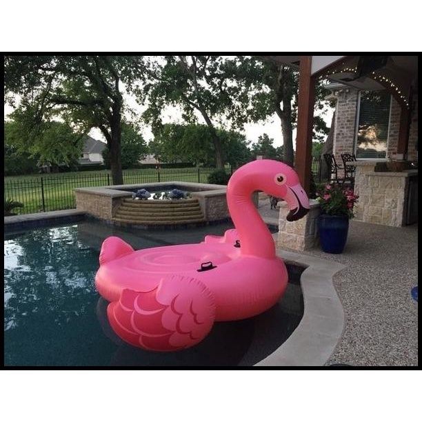 Jual Pelampung Pink Flamingo Ride On - 1.47M X 1.40M X 94Cm Intex ...