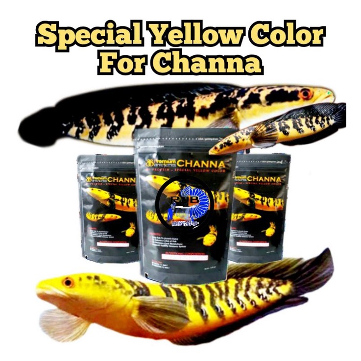 Jual pelet Yellow Maru (Channa Special Yellow Color) | Shopee Indonesia