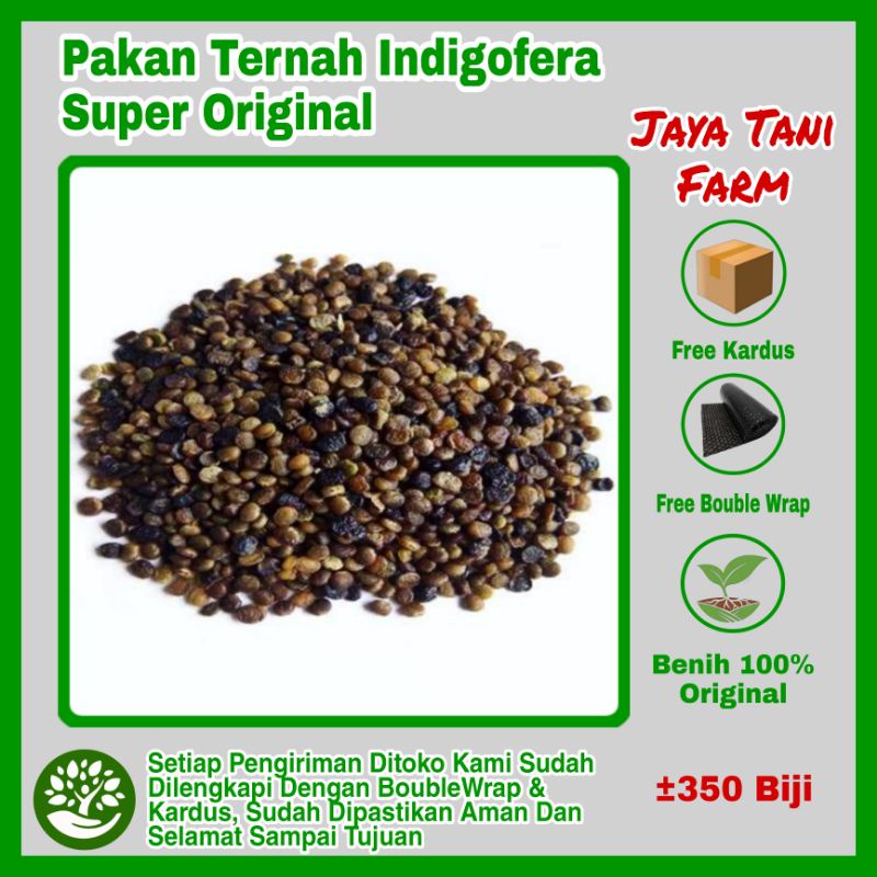 Jual Bibit Benih Pakan Ternak Indigofera Super Premium / Biji ...