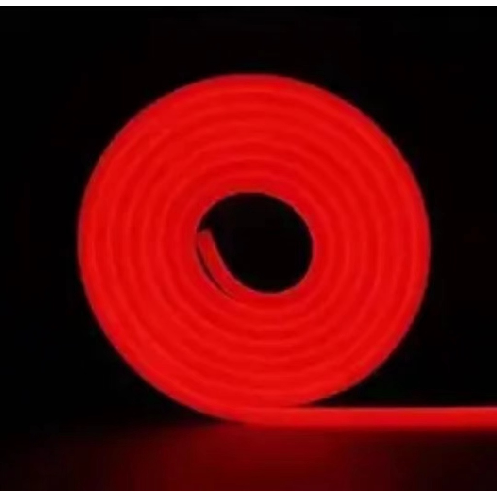 Jual Lampu LED Neon Flex LED Strip Flexible DC 12V 5M IP65 WATERPROOF | Shopee Indonesia