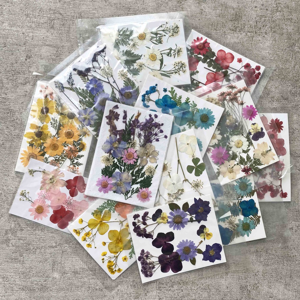 Jual Pressed Flower/bunga kering untuk bahan Kerajinan Resin (PF2 ...