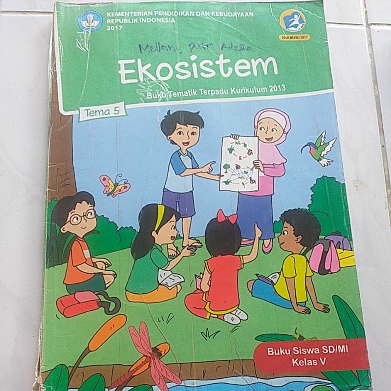 Jual tema5 | Shopee Indonesia