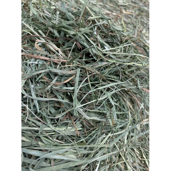 Jual Timothy Hay 1kg Special Hay-Rumput Timothy hay 1 kg makanan ...