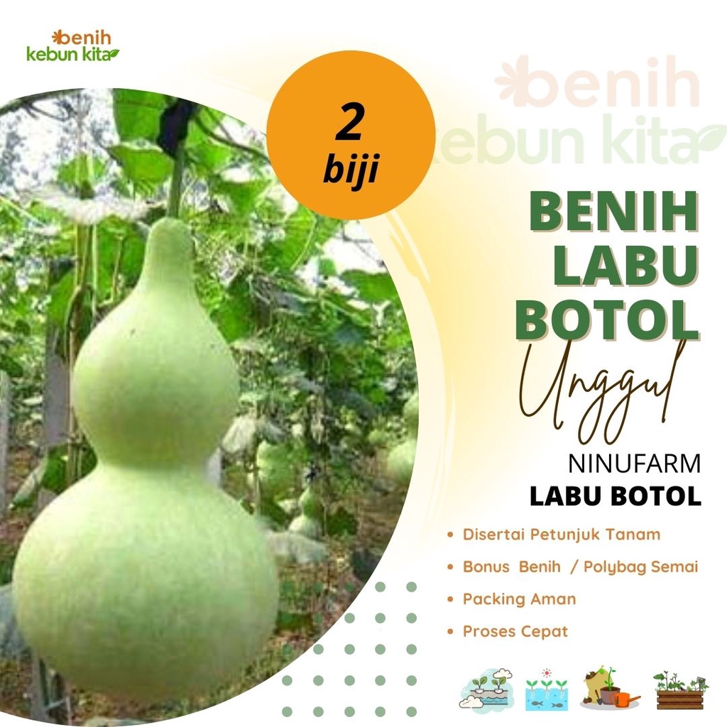 Jual Benih Biji Labu Botol Lagenaria Bottle Gourd Calabash | Shopee ...
