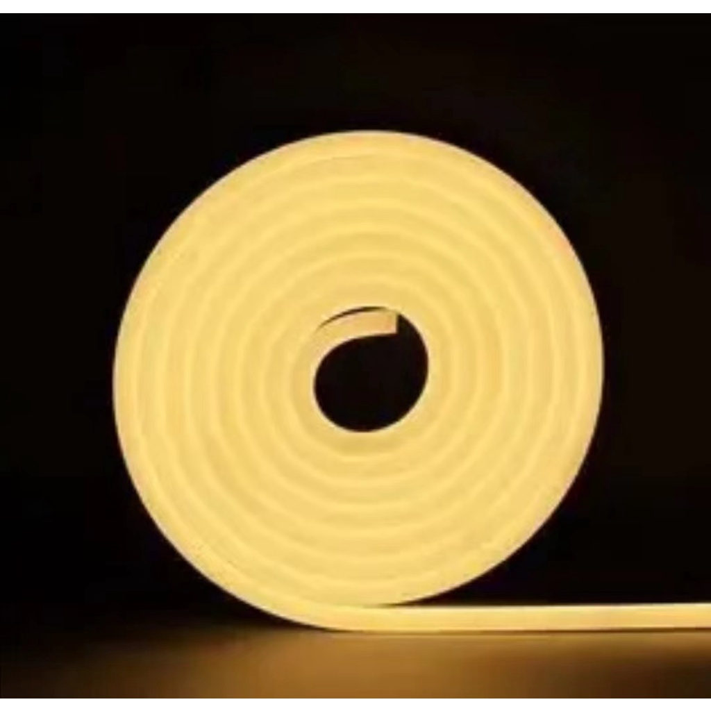 Jual Lampu LED Neon Flex LED Strip Flexible DC 12V 5M IP65 WATERPROOF | Shopee Indonesia