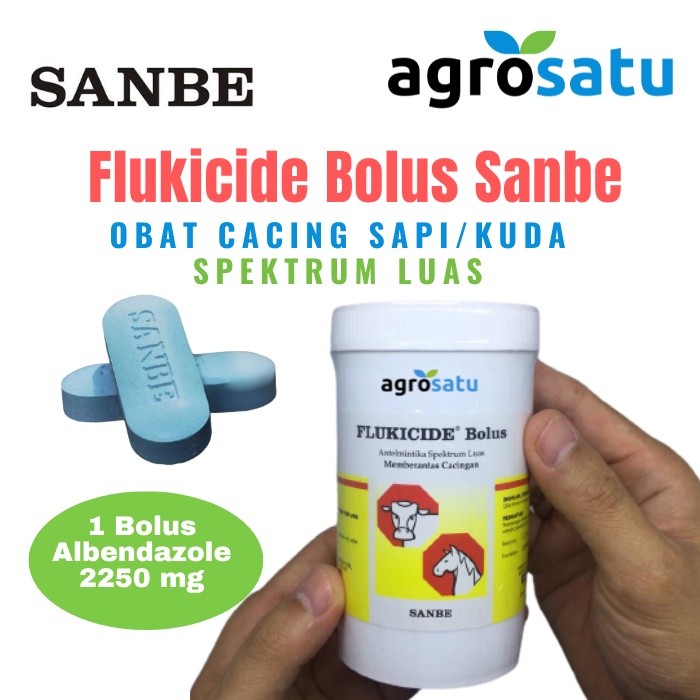 Jual Obat Cacing Sapi Kuda Flukicide Bolus Sanbe Albendazole Spektrum ...