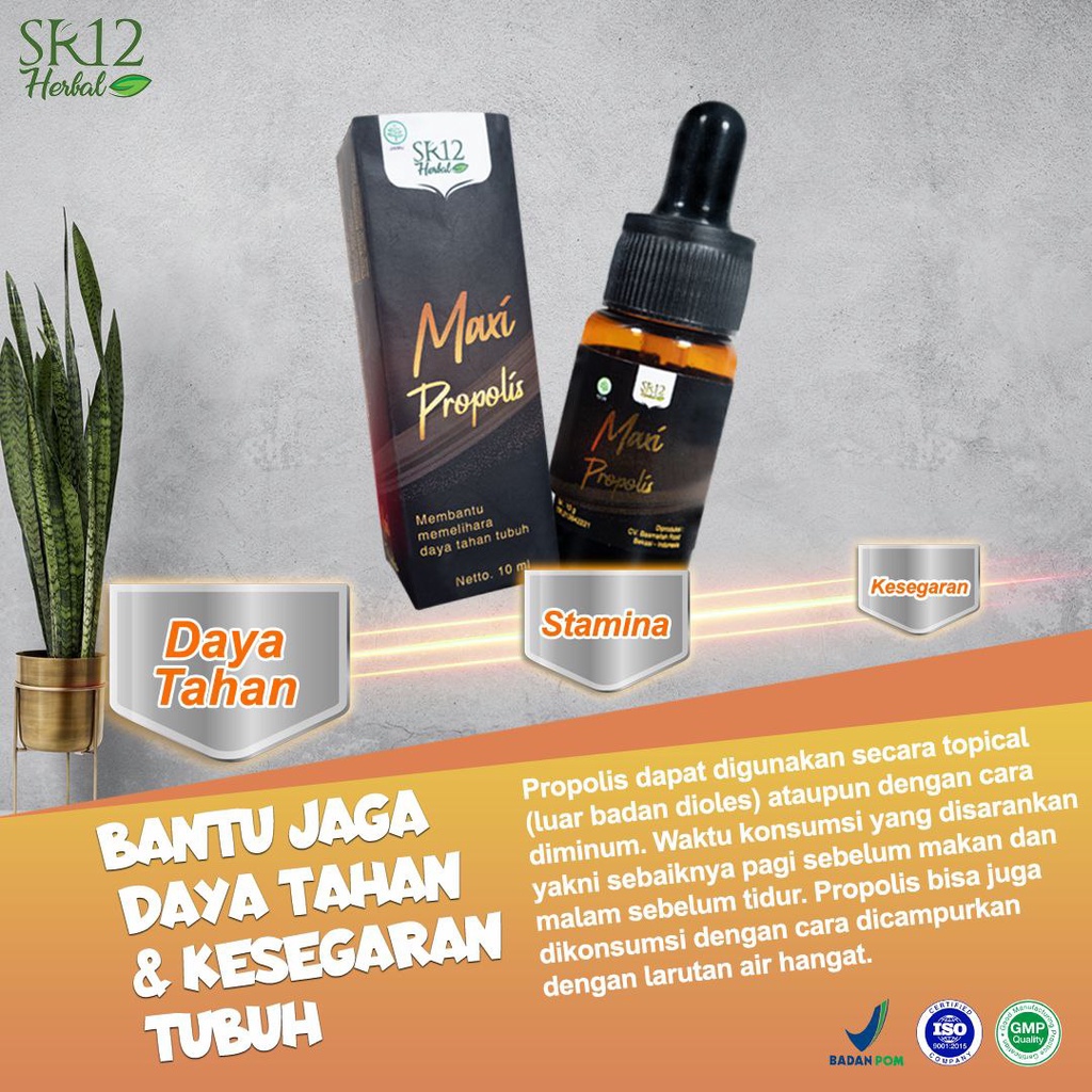 Jual MAXI PROPOLIS SR12 / PROPOLIS ASLI / MENJAGA DAYA TAHAN TUBUH / MENURUNKAN GLUKOSA DARAH ...