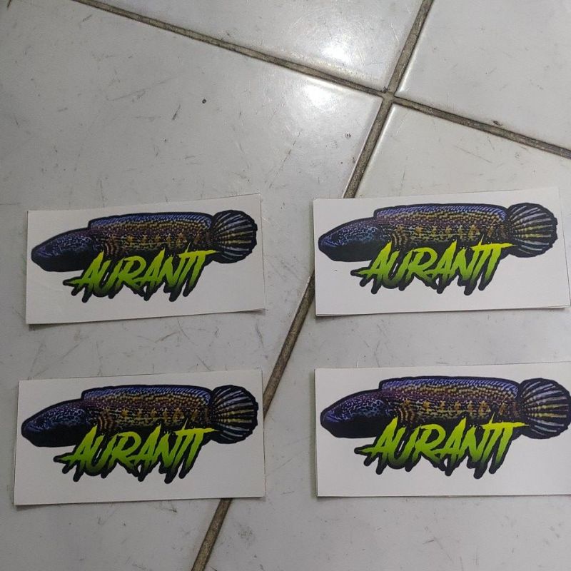 Jual sticker channa auranti | Shopee Indonesia
