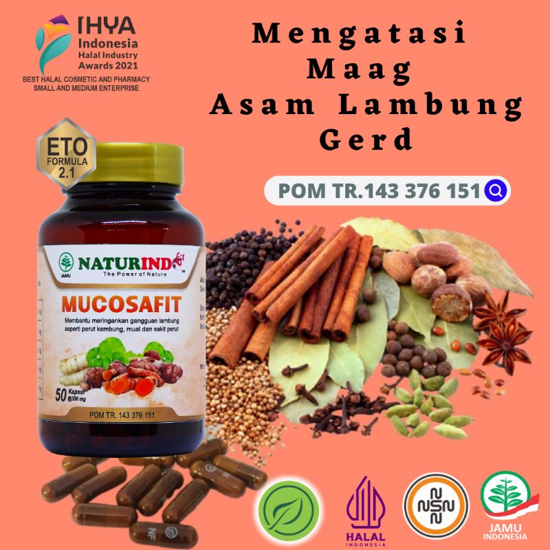 Jual Obat Asam Lambung Maag Magh Gerd Herbal Kronis Ampuh Obat Bau ...