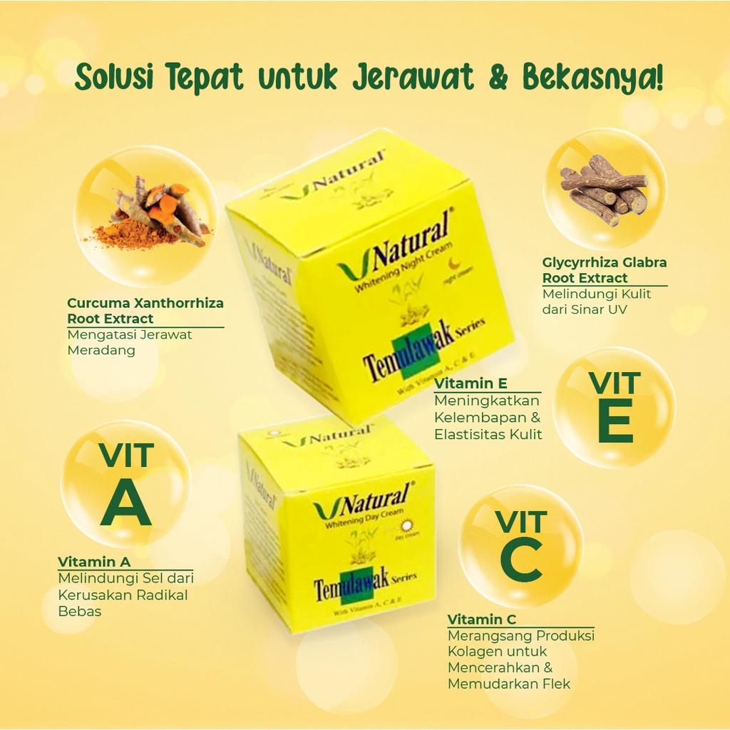 Jual VNatural / V Natural Night Cream/Krim Malam Temulawak 20gr ...