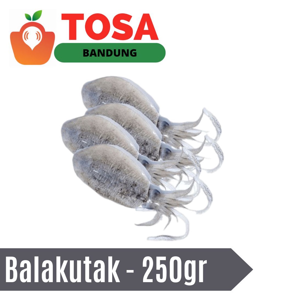 Jual Udang/Cumi/Kerang Hijau/Remis/Kerang Dara/Balakutak/kerang tiram ...