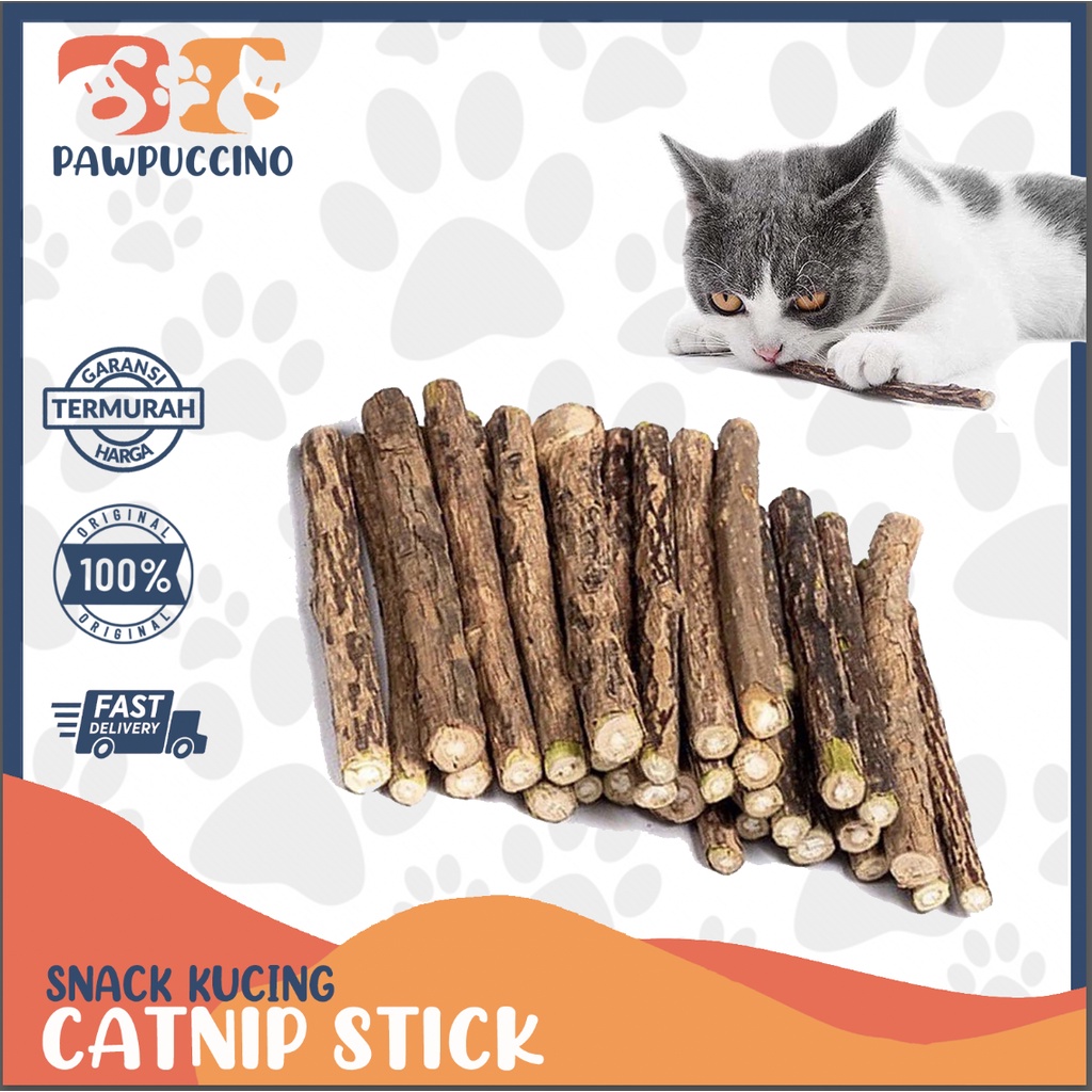 Jual Catnip Stick Snack Kucing | Shopee Indonesia