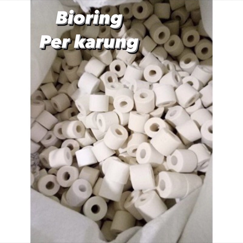 Jual BIORING BIO RING PUTIH MEDIA FILTER BIOLOGIS KARUNG | Shopee Indonesia