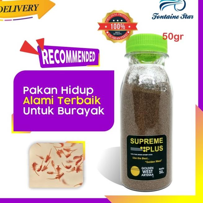 Jual Artemia Golden Supreme Plus (50Gram) | Shopee Indonesia