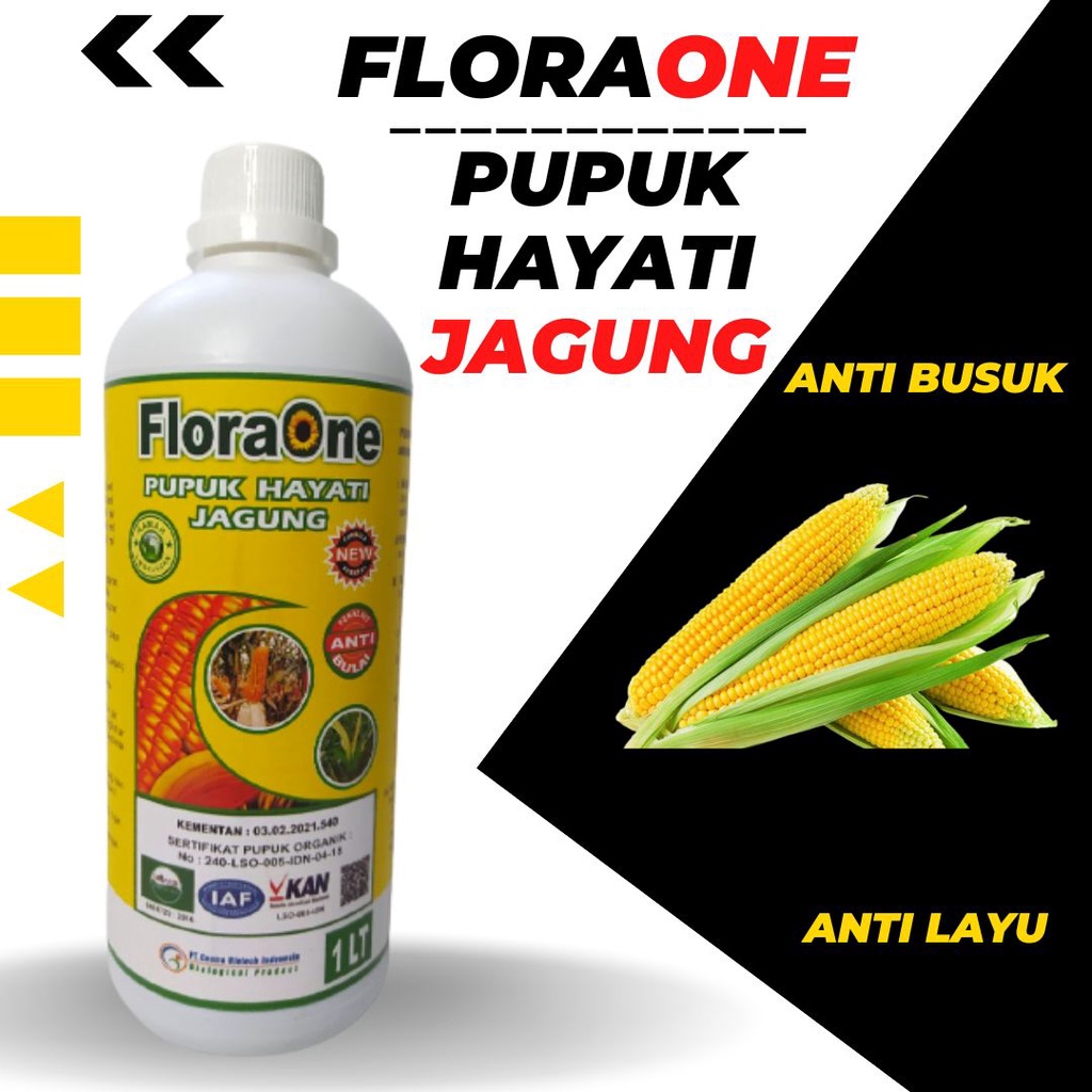 Jual Pupuk Hayati Untuk Tanaman Jagung, Fungisida Hayati Untuk Penyakit ...