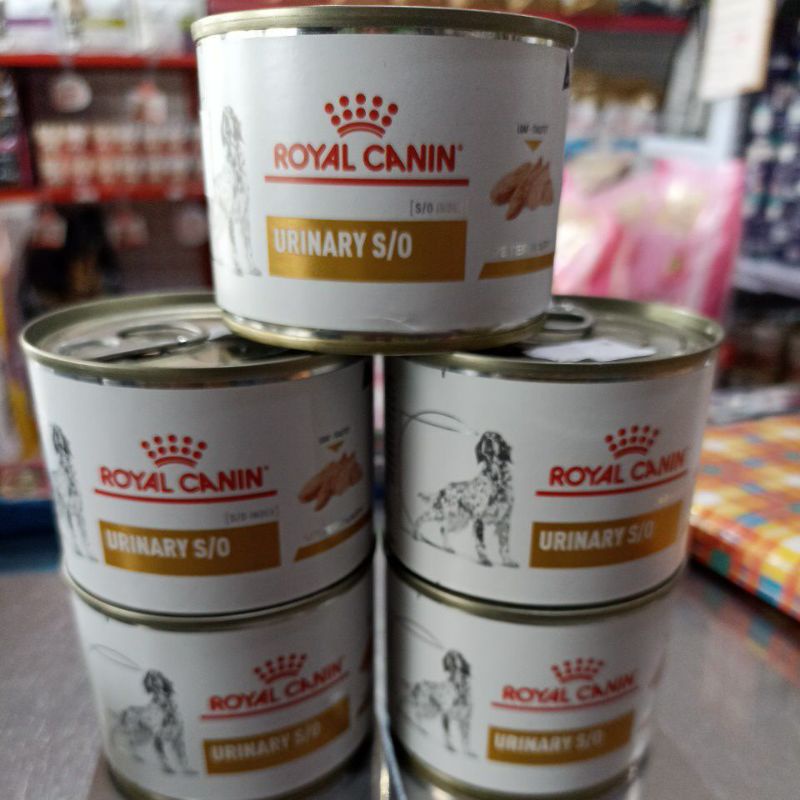 Jual Royal Canin S/O 200gram | Shopee Indonesia
