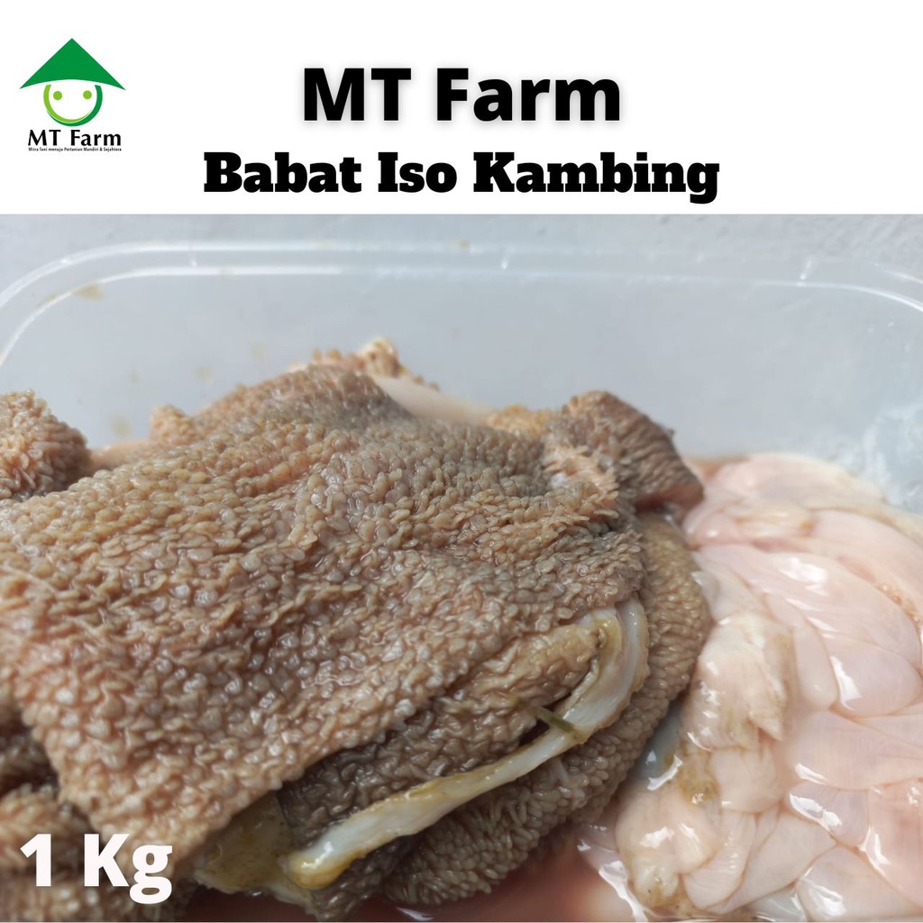Jual Jeroan Babat Iso Usus Kambing Campur Bersih 1 Kg | Shopee Indonesia