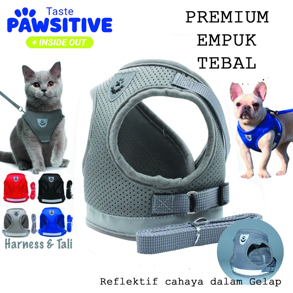 Jual Tali Kucing Harness Anjing Kucing TALI TUNTUN KUCING TALI Anjing ...