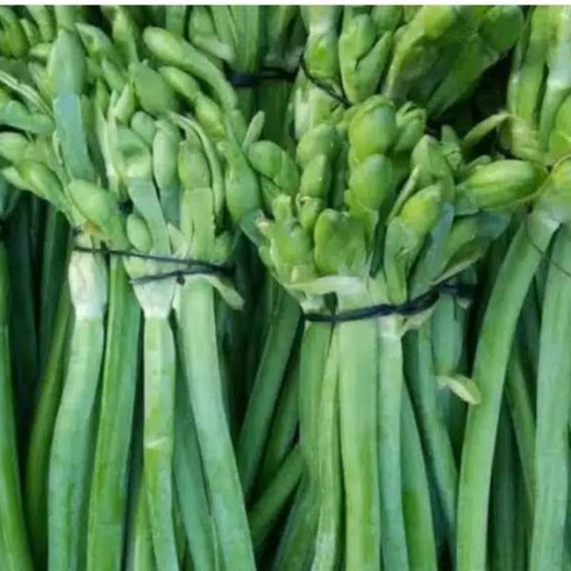 Jual SAYUR DAUN GENJER/KEMBANG GENJER SEGAR 2 IKAT | Shopee Indonesia