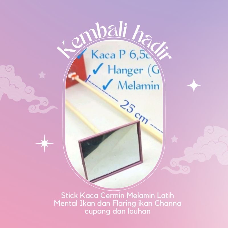 Jual Stick Kaca Cermin Melamin Latih Mental Ikan dan Flaring ikan ...