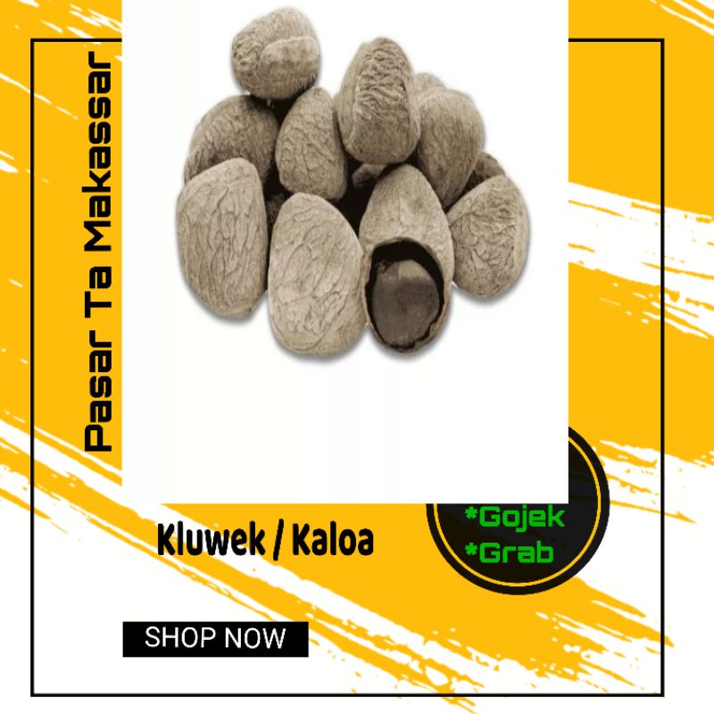 Jual Perbiji Kluwek Kluwak Kaloa Rempah Rawon Bumbu Rawon | Shopee ...