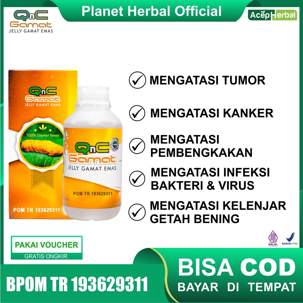 Jual Obat Tumor Kanker Kelenjar Getah Bening Qnc Jelly Gamat Emas Asli ...