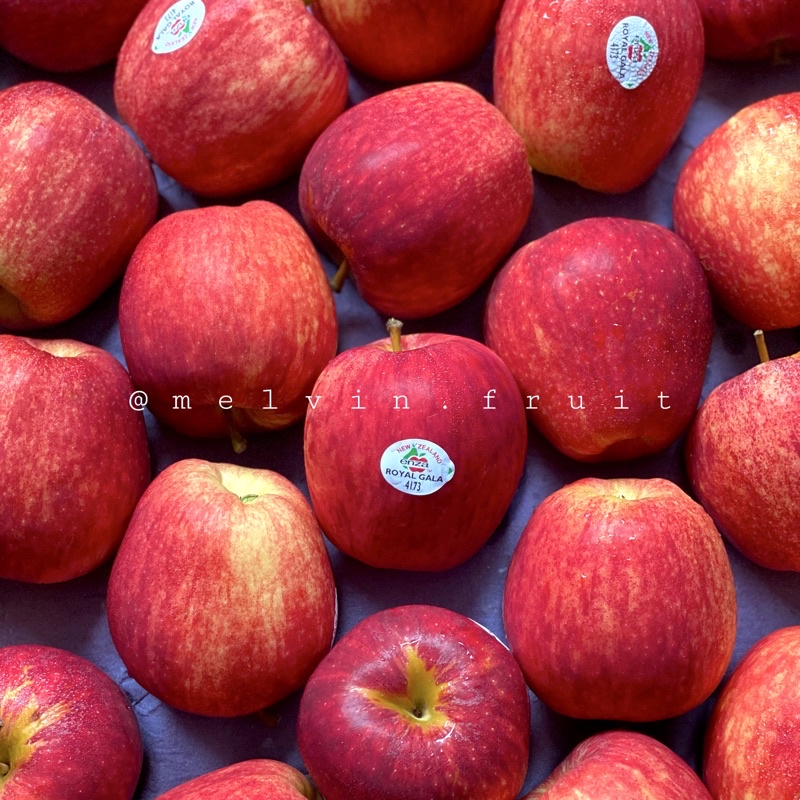 Jual Apel Gala Australia fresh | Shopee Indonesia