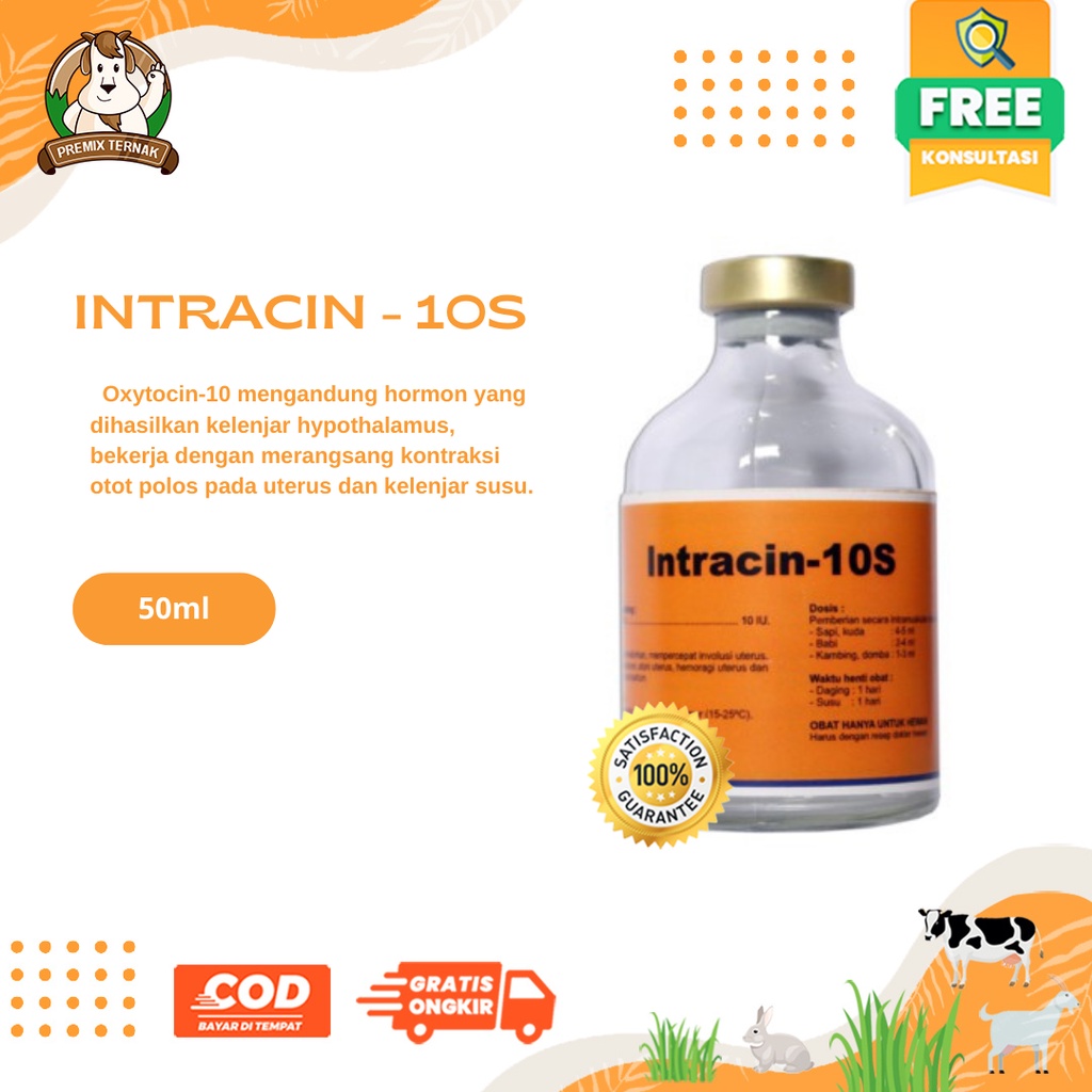 Jual INTRACIN 10S 50ml - Hormon Perangsang Kontraksi Uterus Kelenjar ...