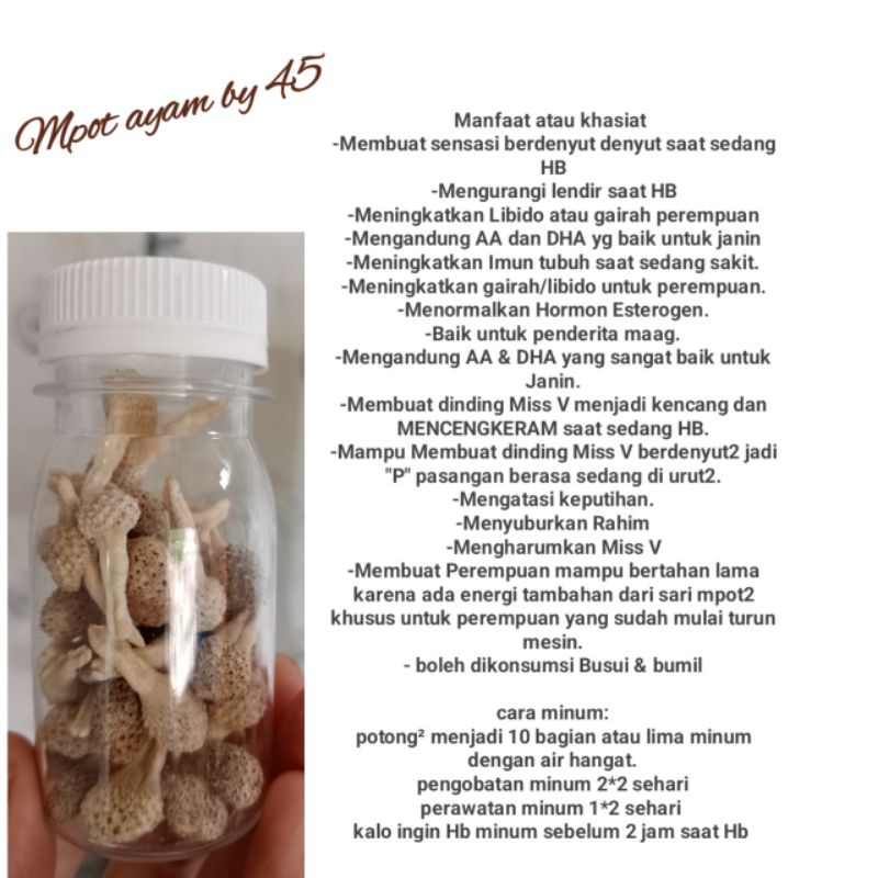 Jual MPOT Ayam Putih Biang Original Premium | Shopee Indonesia