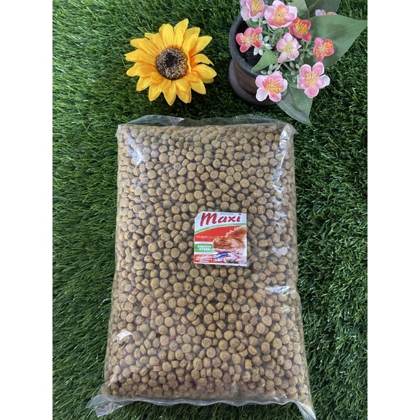 Jual MAXI CAT FOOD 1KG | Shopee Indonesia