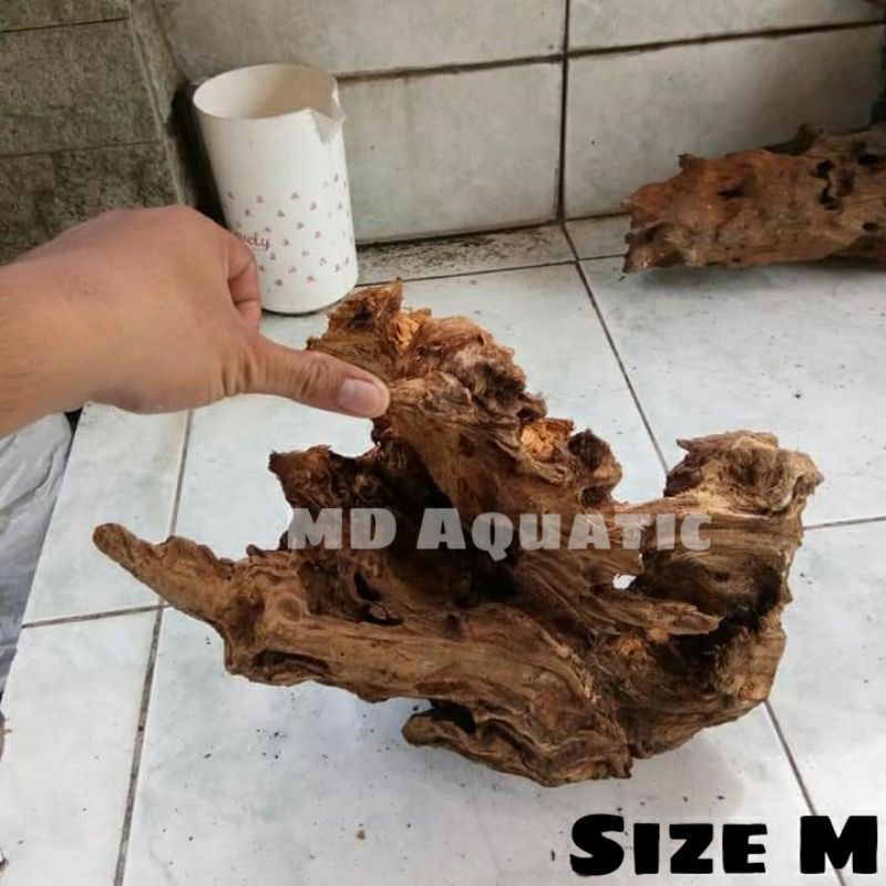 Jual Kayu Rentek Drift Wood Size M | Shopee Indonesia