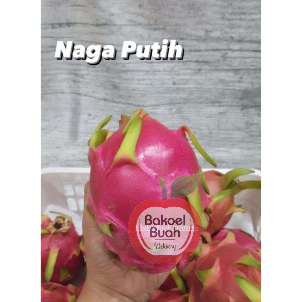 Jual Buah Naga Putih Organik / Kg | Shopee Indonesia