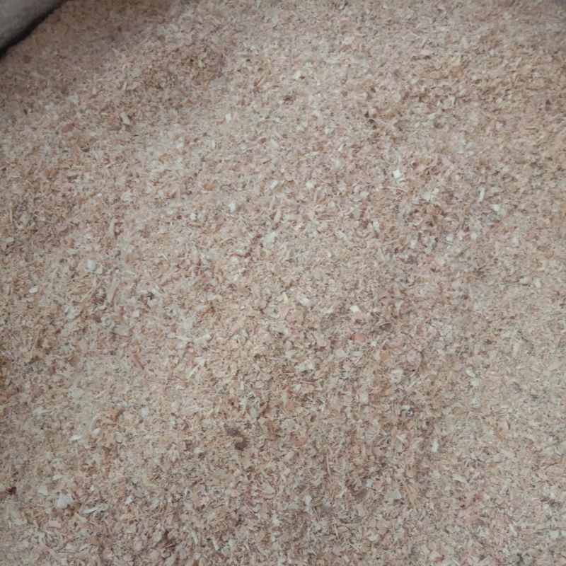 Jual serbuk HALUS Kayu pinus jati belanda | Shopee Indonesia