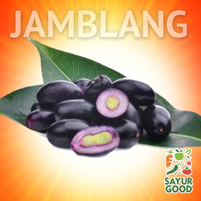 Jual Buah Jamblang / Juwet / Kupa (250-300gr/pack) | Shopee Indonesia