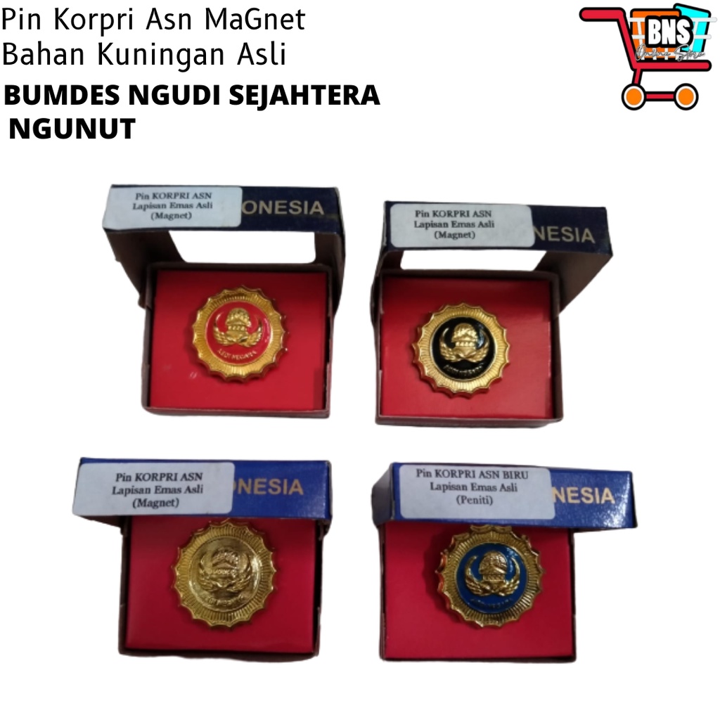 Jual PIN KORPRI ASN PENITI MAGNET WARNA (LOIND) | Shopee Indonesia