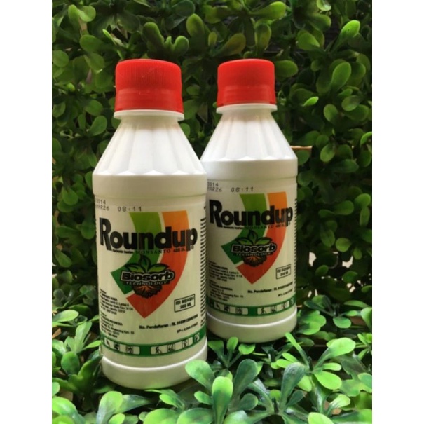Jual Roundup 200 ml, pembasmi rumput, herbisida, racun rumput | Shopee ...
