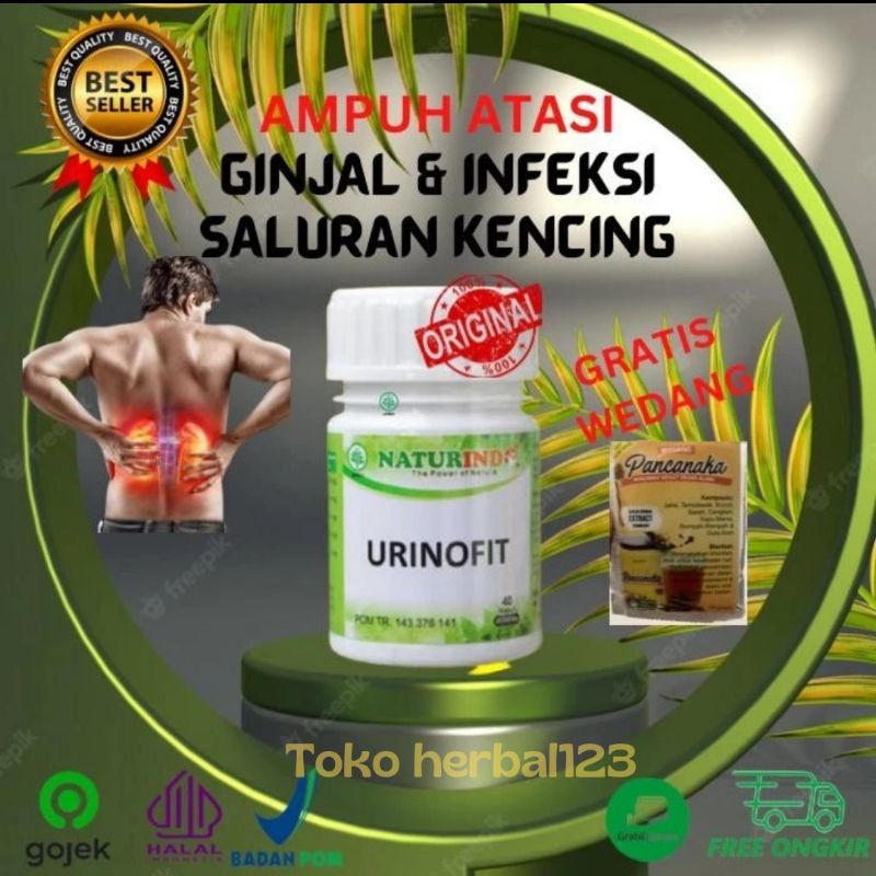 Jual TOKO HERBAL Obat Gagal Ginjal Tanpa Cuci Darah Obat Penghancur ...