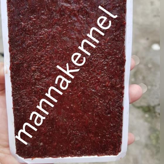 Jual cacing darah beku/frozen bloodworm/cabek/cacing beku tray kiloan ...