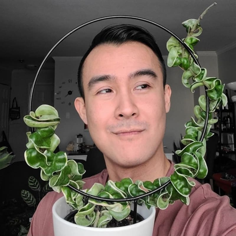 Jual Loop Planters - 20cm Rambatan Besi Media Rambat Tanaman Dekorasi Bunga | Shopee Indonesia