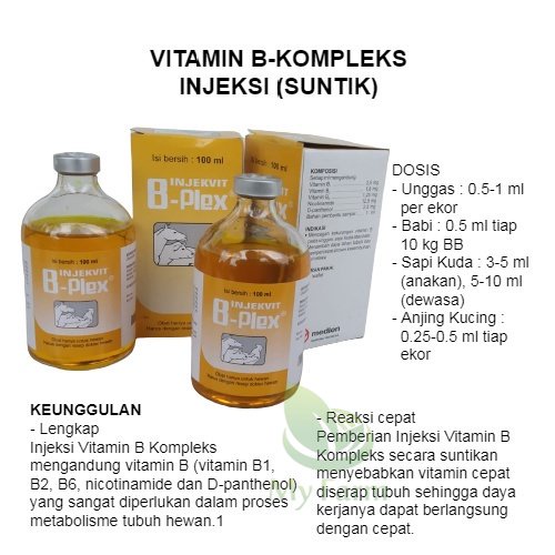 Jual Vitamin B- Kompleks Injeksi 100 Ml Obat Suntik Penambah Sistem ...