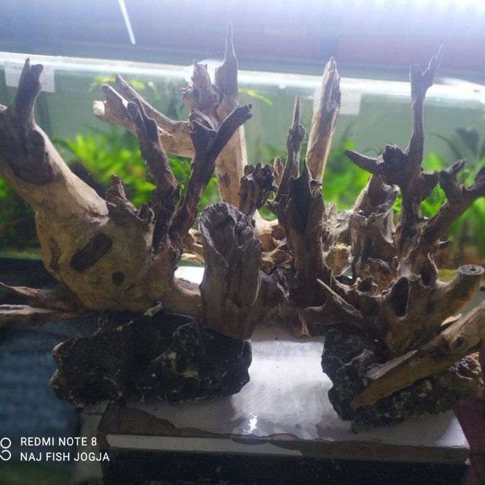 Jual Hard Scape Batu Kayu Untuk Hiasan Aquascape Aquarium Terrarium ...